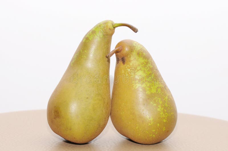 Two friendly pears. stock image. Image of friendship - 102190163