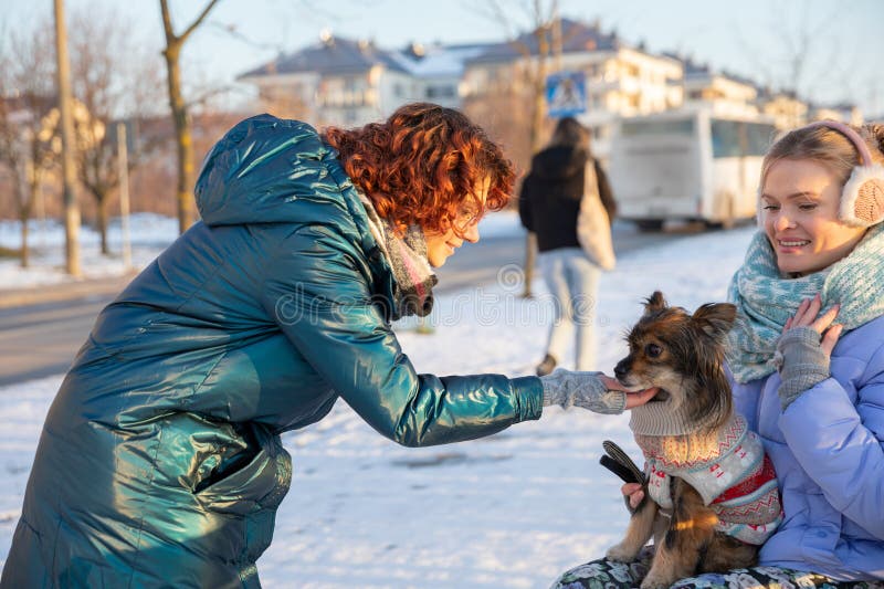 Two Friends and a Dog Wait for the Bus while Sitting at the Bus Stop ...