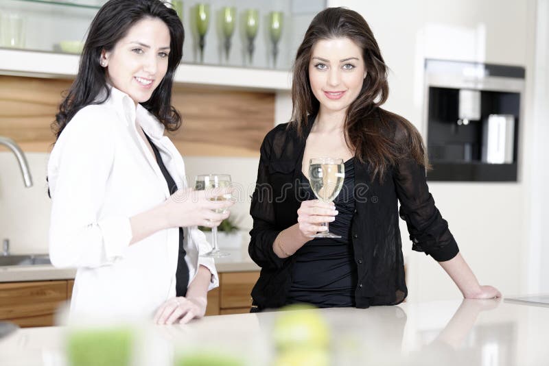 Two friends in a kitchen stock image. Image of work, beauty - 33522117