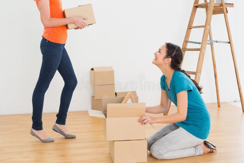 Two Friends Moving Together in a New House Stock Image - Image of ...
