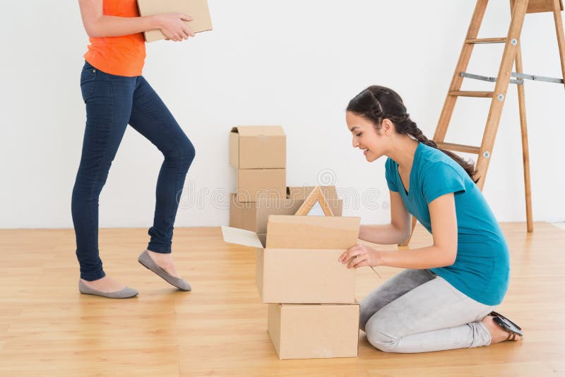Two Friends Moving Together in a New House Stock Image - Image of ...