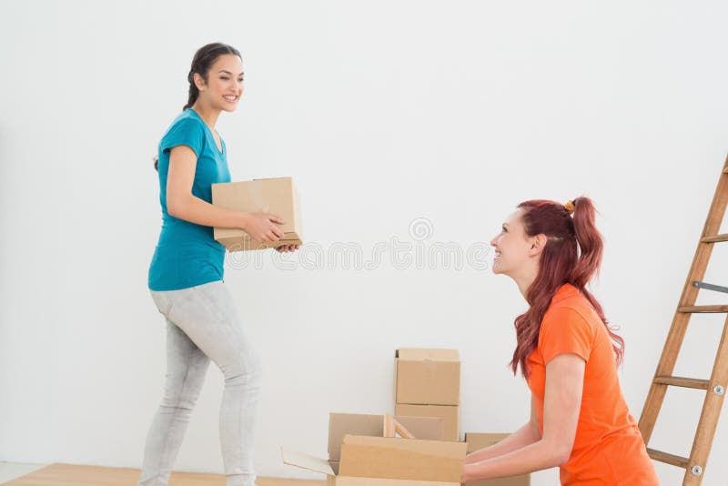 Two Friends Moving Together in a New House Stock Photo - Image of ...