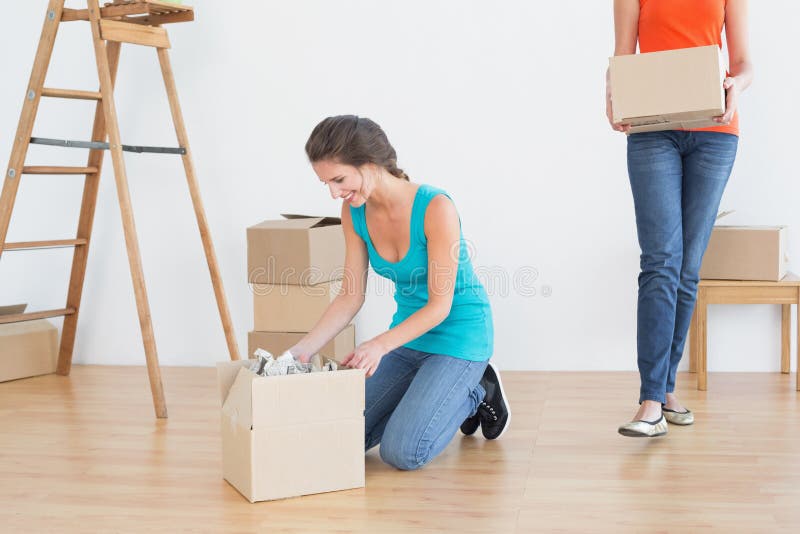 Two Friends Moving Together in a New House Stock Photo - Image of room ...