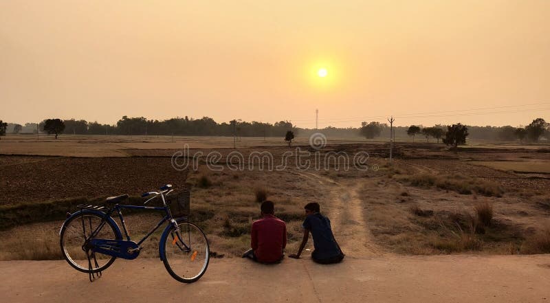 A Sunset View stock photo. Image of flowers, nature - 130403330