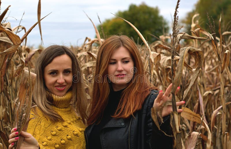 Two Friends Stand Happily in a Dry Cornfield. Stock Photo - Image of ...