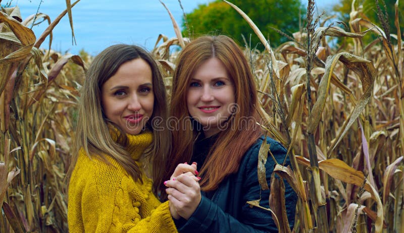 Two Friends Stand Happily in a Dry Cornfield. Stock Image - Image of ...