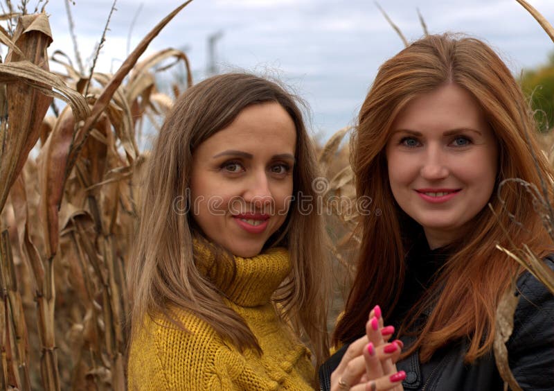 Two Friends Stand Happily in a Dry Cornfield. Stock Image - Image of ...