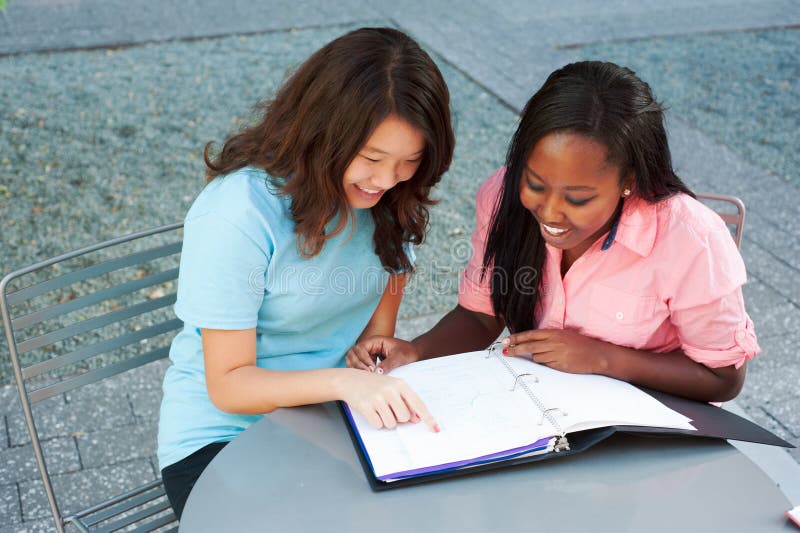 Two Friends Studying Together Stock Photo - Image of school, class ...