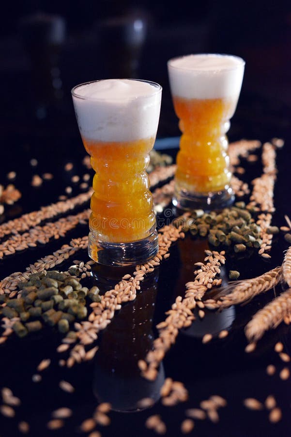 Two Frothy Beers with Wheat and Hops Stock Photo - Image of beers ...
