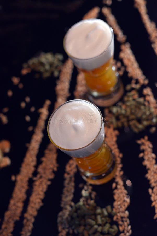 Two Frothy Beers with Wheat and Hops Stock Photo - Image of cocktail ...