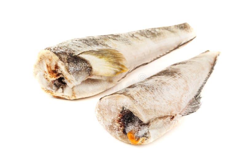 Two frozen fish stock photo. Image of healthy, fillet - 73417592