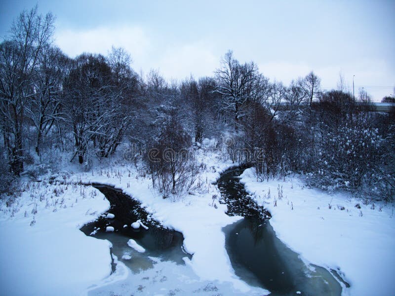 Two rivers in the forest stock image. Image of forest - 165810229