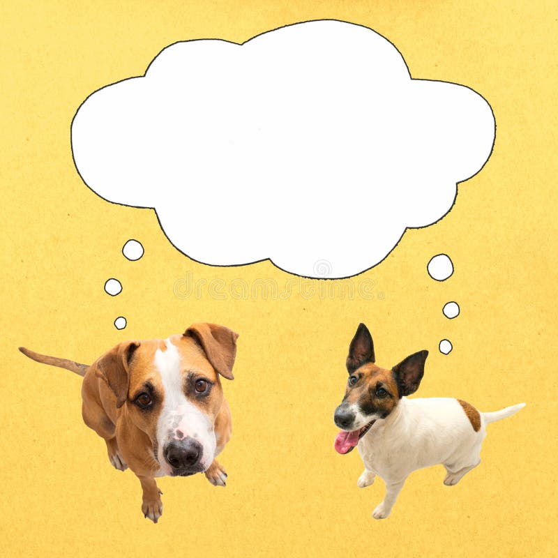 Two Funny Dogs Looking at Camera with Speech Bubble, Isolated Image ...
