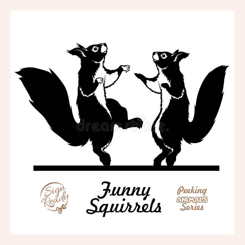 Two Funny Squirrels Dancing Isolated on White Stock Vector ...