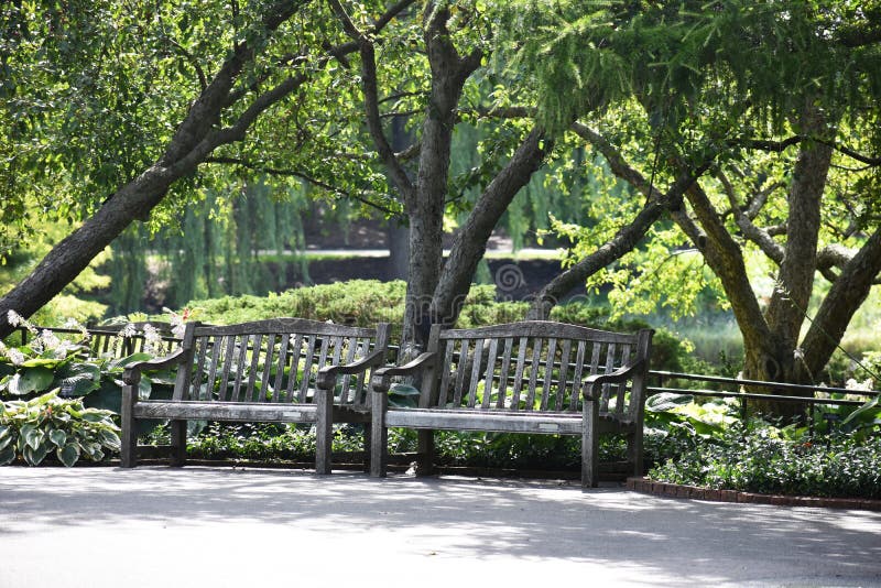 Two Garden Benches stock photo. Image of empty, forest - 96788686