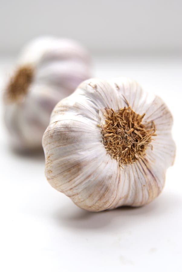Two garlic stock photo. Image of close, eating, bulb - 20711444