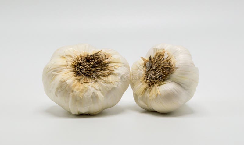 Two Garlic Bulbs Isolated on White Stock Image - Image of allium, diet ...