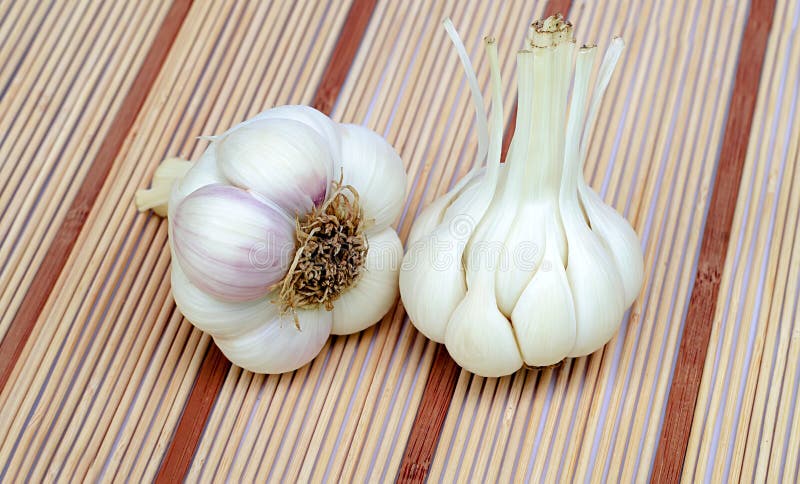 Two garlic stock image. Image of chili, ingredient, healthy - 42138657
