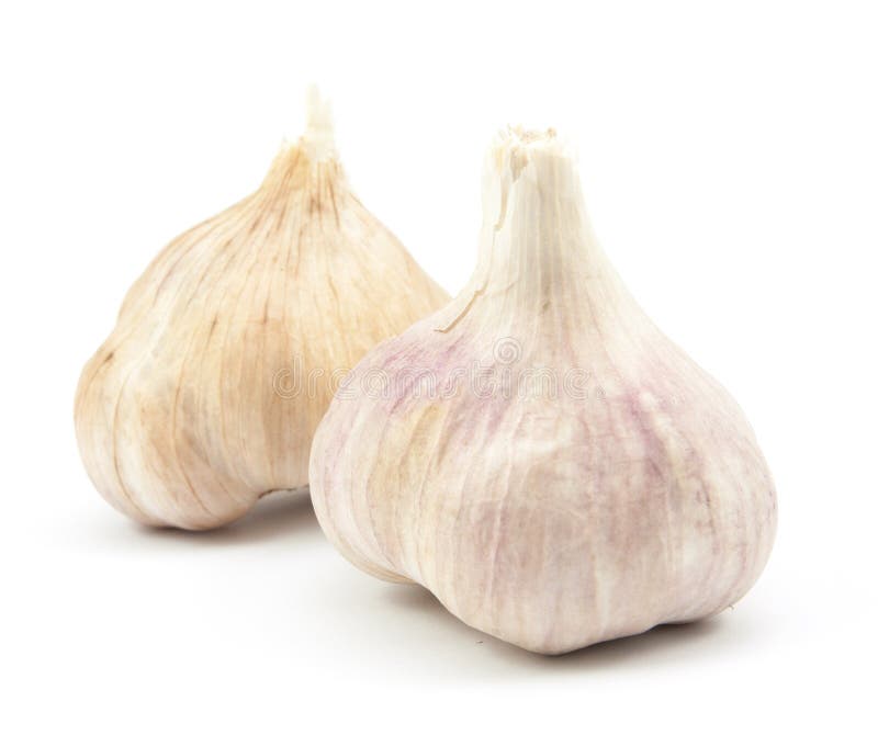 Two garlic stock photo. Image of plant, organic, food - 76332644