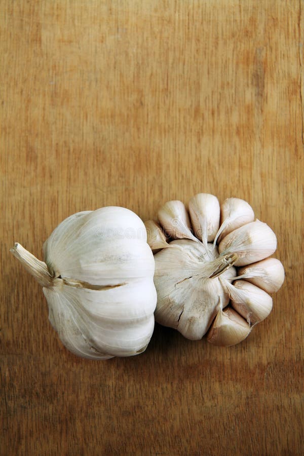 Two garlics stock image. Image of garlic, nutritious - 48630155