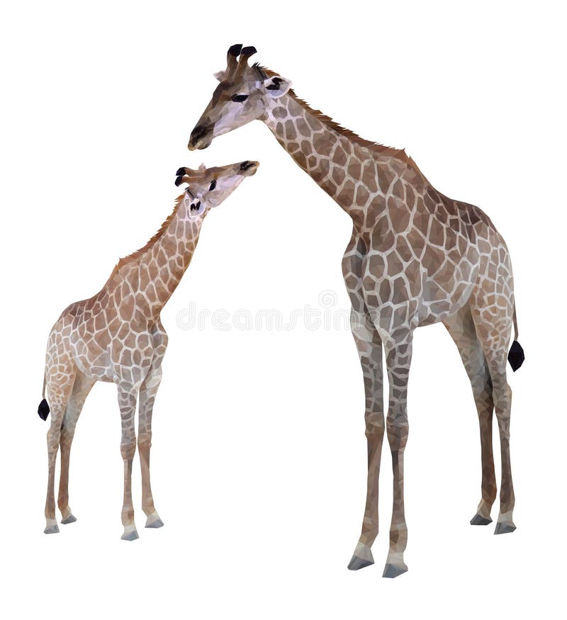 Turkey Bird stock illustration. Illustration of poultry - 41986318