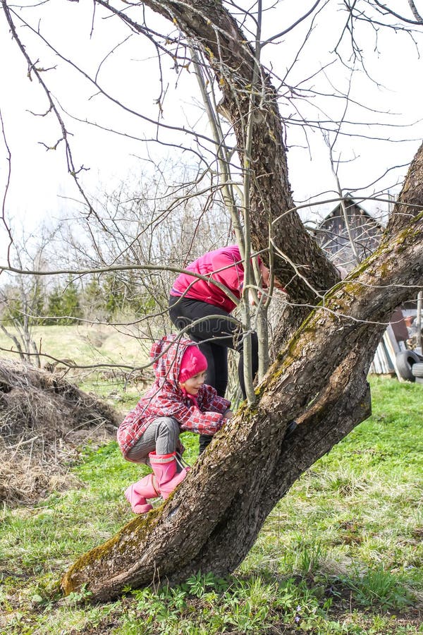Two Girls Climbing on a Tree in Park. Stock Photo - Image of outdoor ...