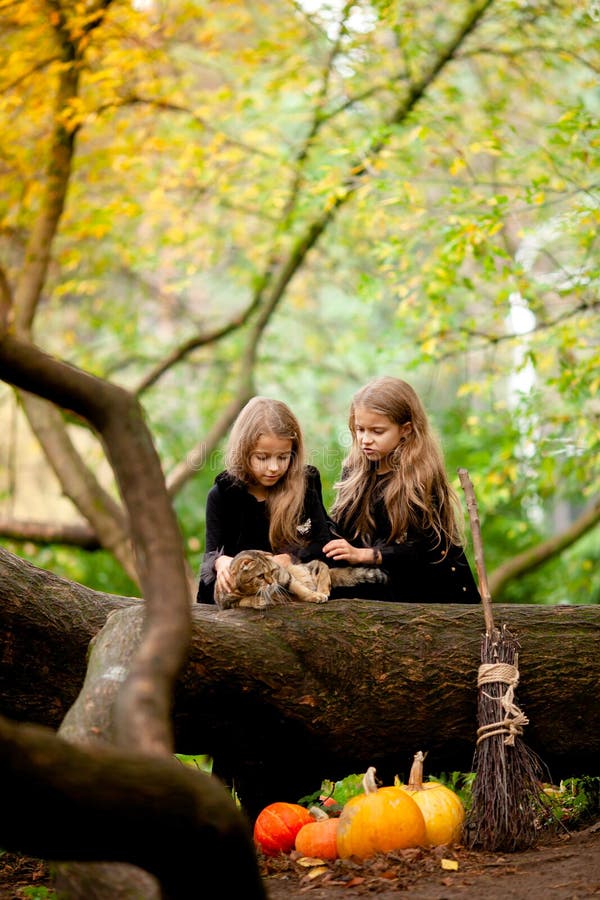 120 Two Witches Broom Stock Photos - Free & Royalty-Free Stock Photos ...