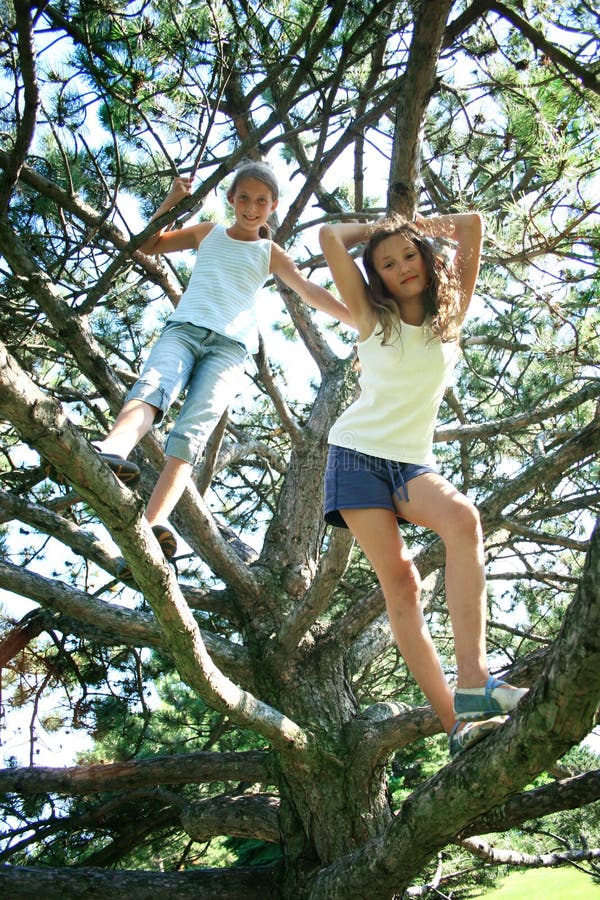 Two girls in tree stock photo. Image of tree, climbing - 6543120