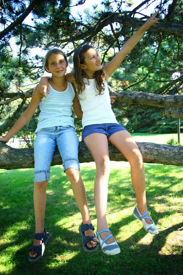 Two girls in tree stock photo. Image of tree, climbing - 6543120