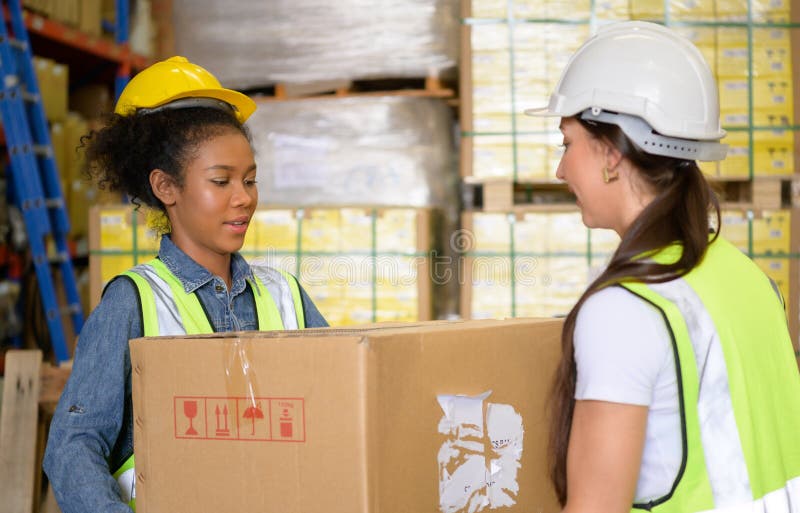 Two Girls Warehouse Workers Help Each Other Lift Heavy Boxes Stock ...
