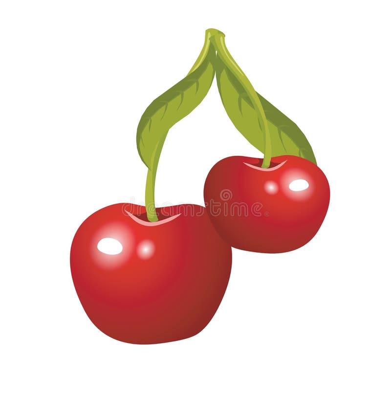 Two Ripe Red Cherries Vector or Color Illustration Stock Vector ...