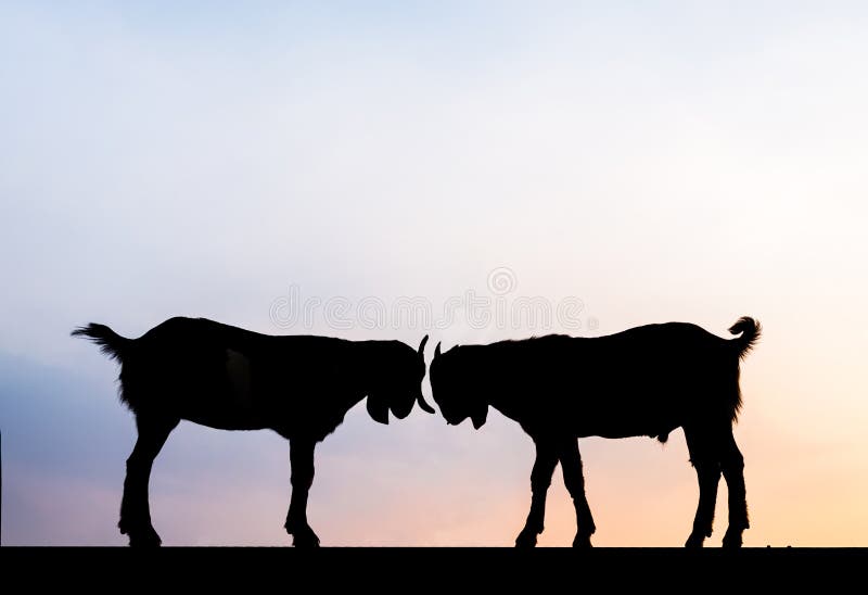 303 Silhouette Goats Stock Photos - Free & Royalty-Free Stock Photos ...