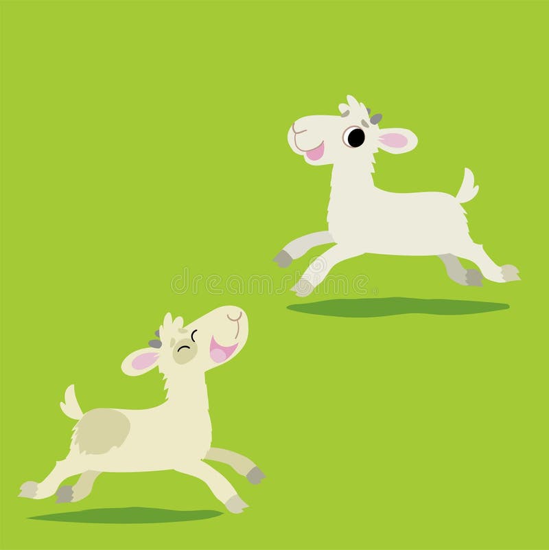 Two Goats are Running Happily on the Grass on the Farm Stock ...