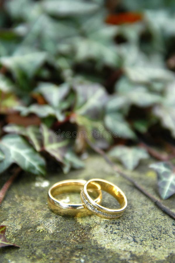 Two gold wedding rings stock photo. Image of togetherness - 102432