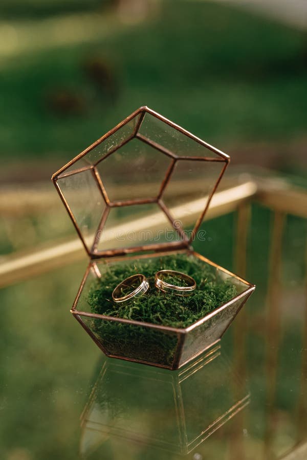 Two Gold Wedding Rings in a Beautiful Elegant Glass Box with Moss ...