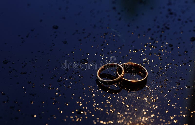 Two Gold Wedding Rings Lie on a Dark Wet Surface Stock Photo - Image of ...