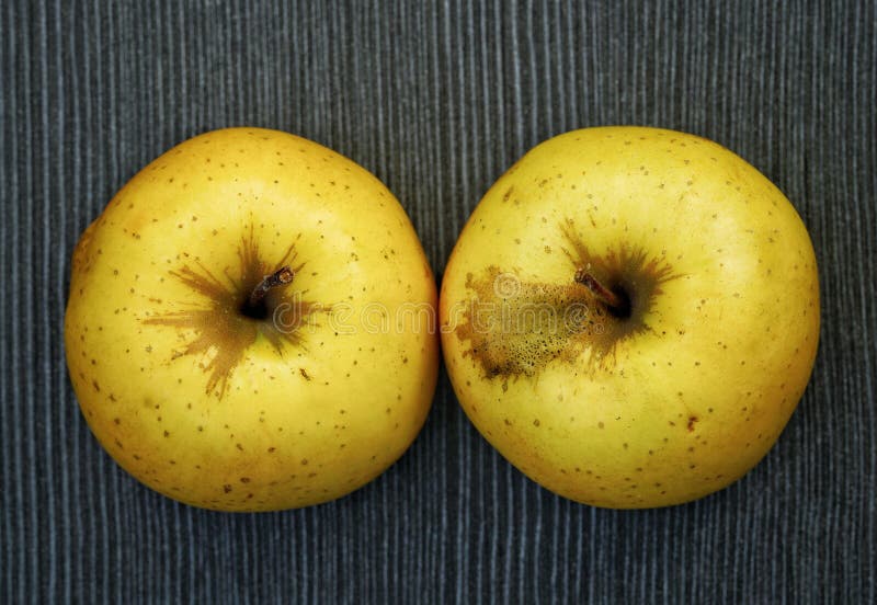 Two "Golden" Apples Stock Photo - Image of food, tree: 261366214