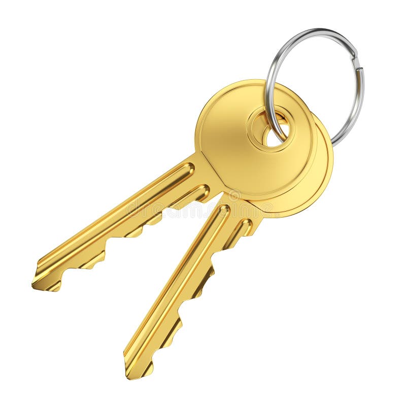 Key Icons stock vector. Illustration of golden, keys - 22392845