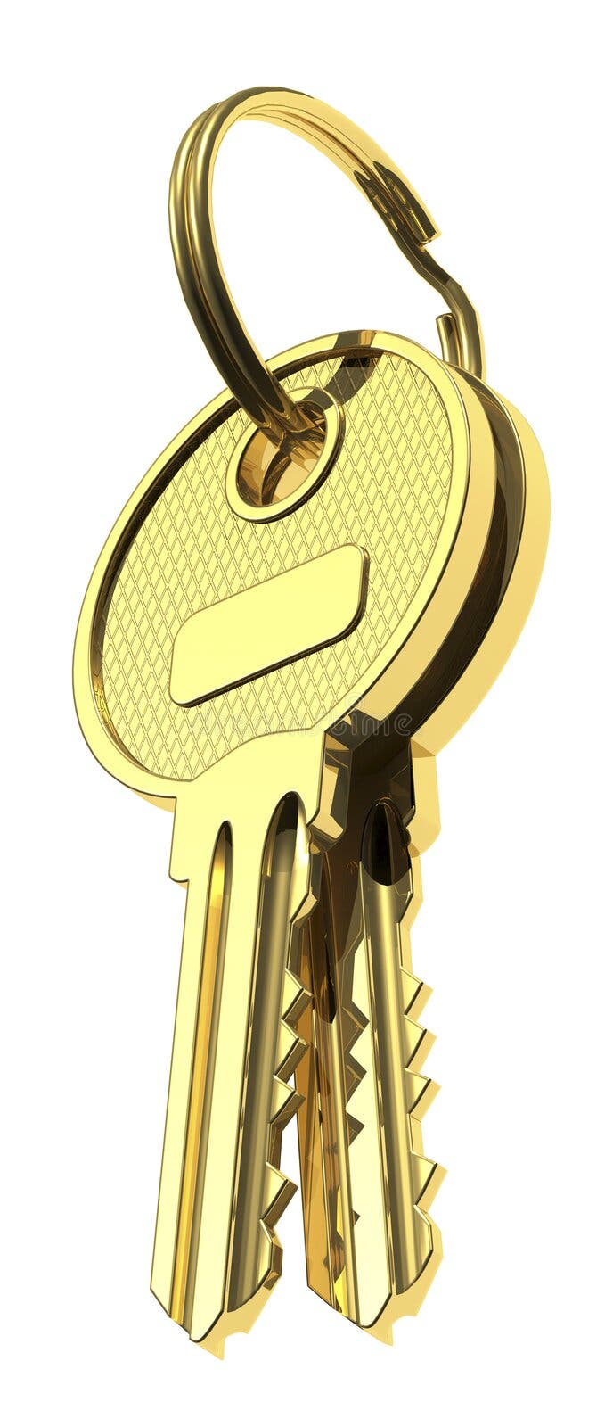 Two Golden Door Keys Stock Illustrations – 97 Two Golden Door Keys ...