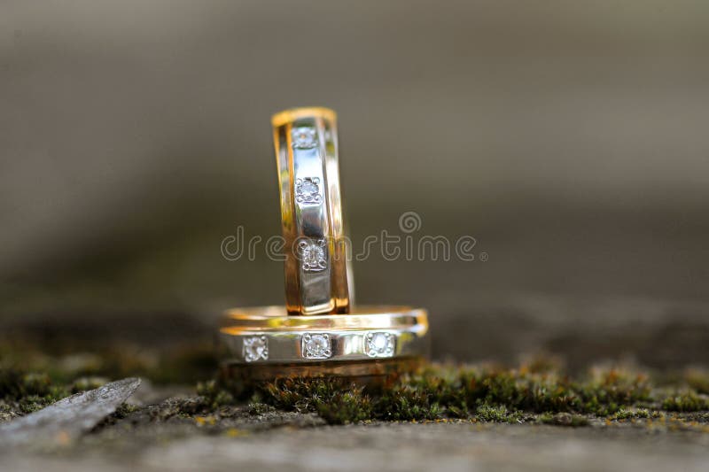 Two golden wedding rings stock image. Image of pair, marriage - 17617917