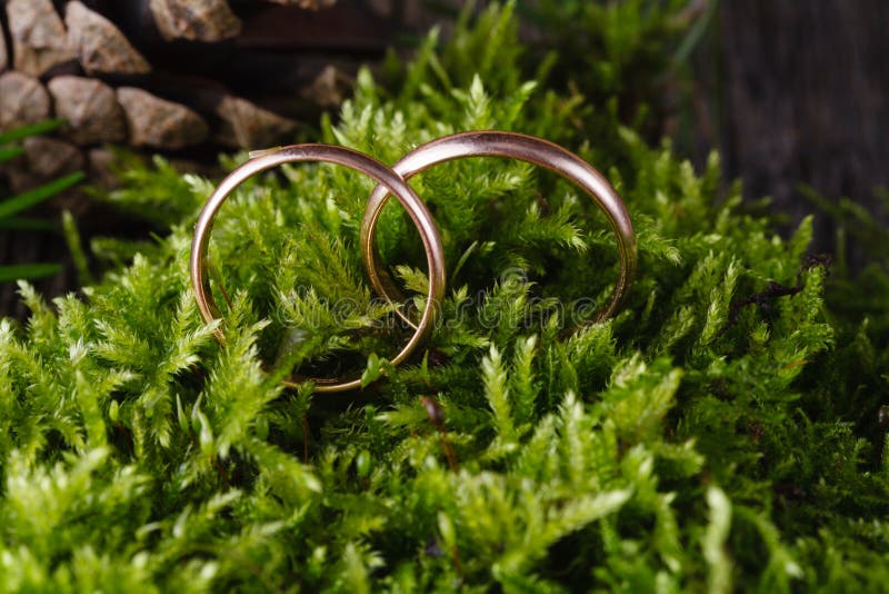 Two Golden Wedding Rings on Moss Stock Image - Image of focus, love ...