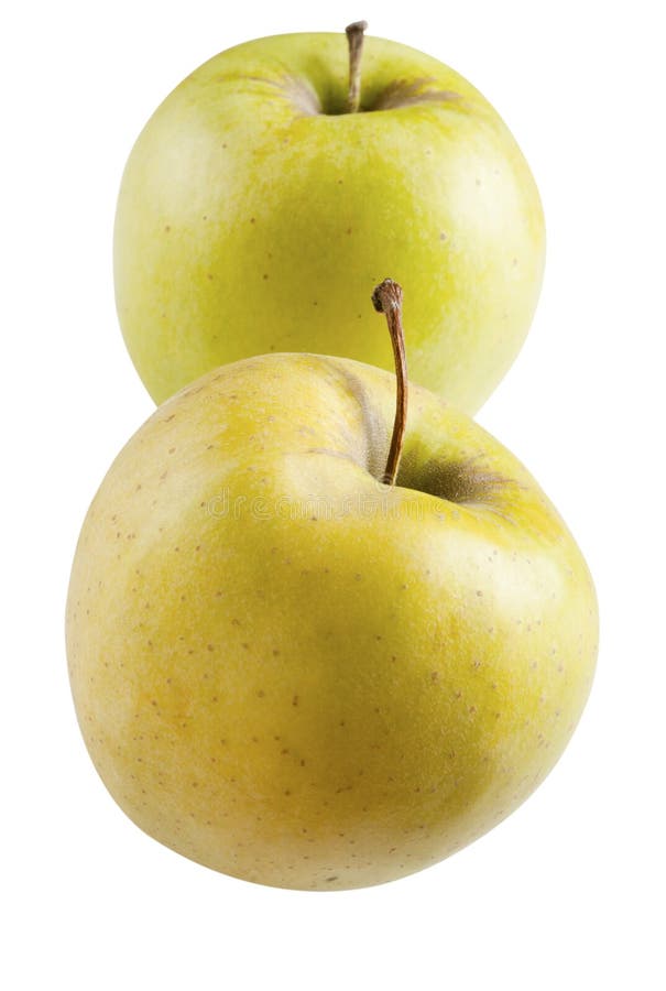 Two green apples stock image. Image of fresh, food, close - 18815025