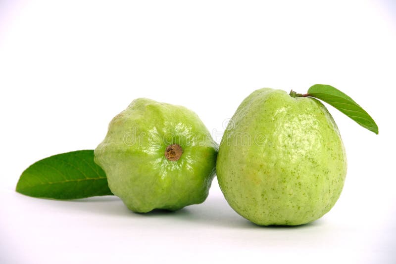 Two Green Crystal Guava Fruit with Leaves Isolated on White Background ...