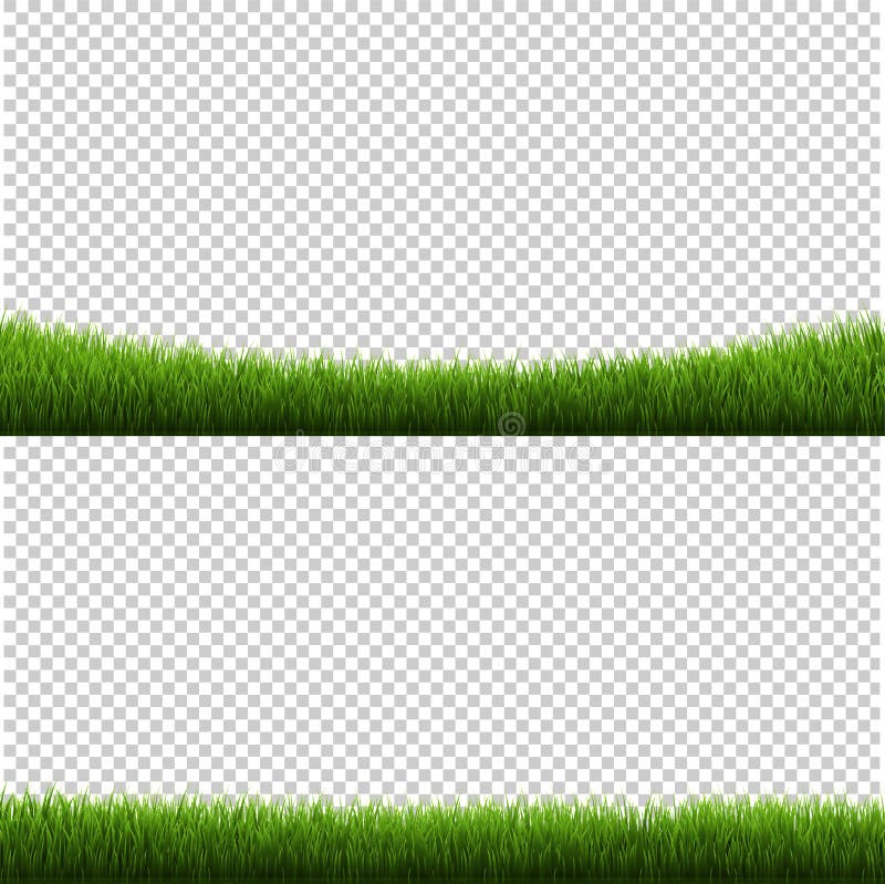 Grass Frames Set in Isolated Transparent Background Stock Vector - Illustration of light ...