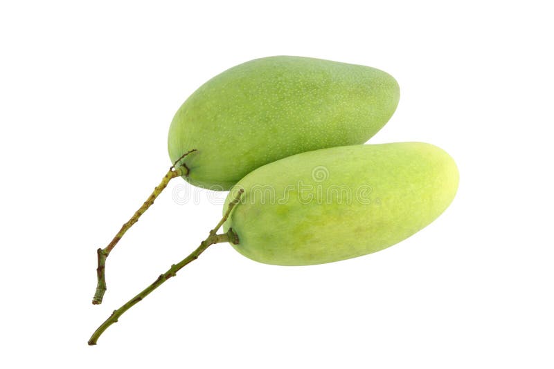 Two green mangos stock photo. Image of fresh, green, healthy - 23212718
