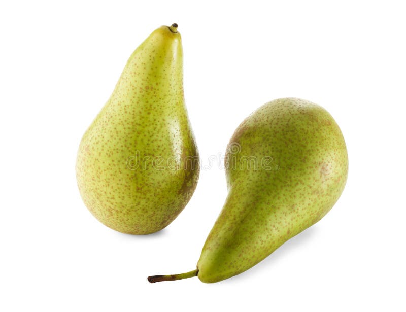 Two pears stock photo. Image of group, fruits, fresh - 19460686
