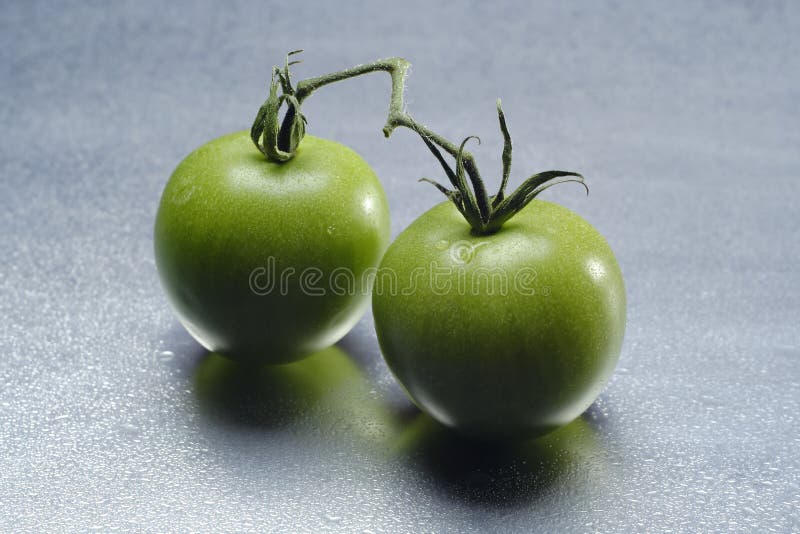 Two green tomatoes stock image. Image of shadow, green - 1062255