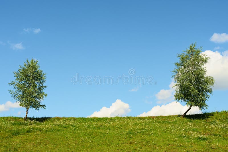 Couple on a bench stock photo. Image of look, perspective - 1780382