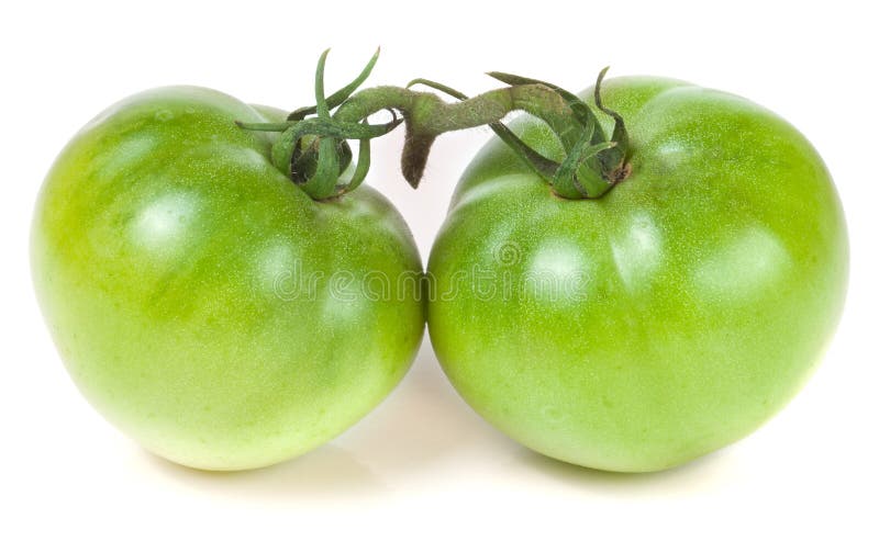 Two Green Unripe Tomato Isolated on White Background Stock Photo ...