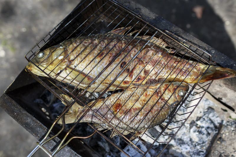 Two Grilled Carp on Bbq Fireplace Stock Image - Image of freshness ...